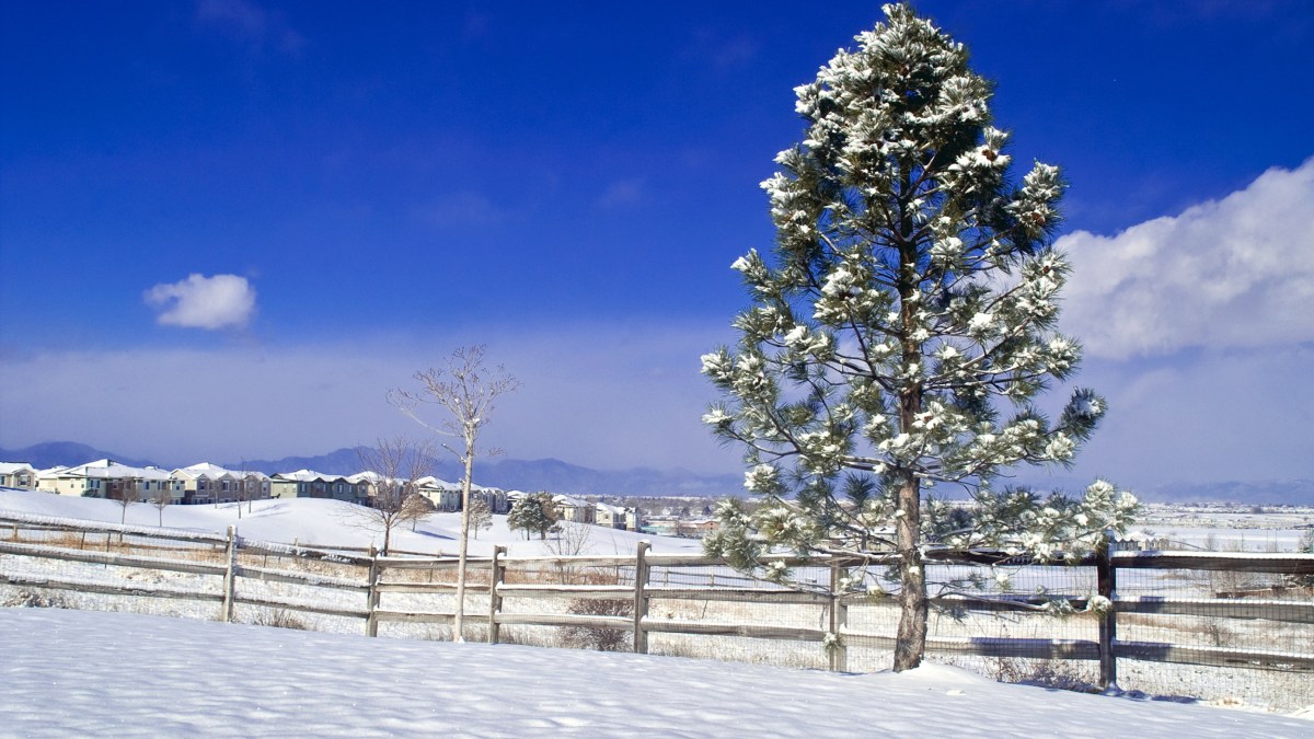 Condiciones invernales en Colorado para empezar la primavera ...