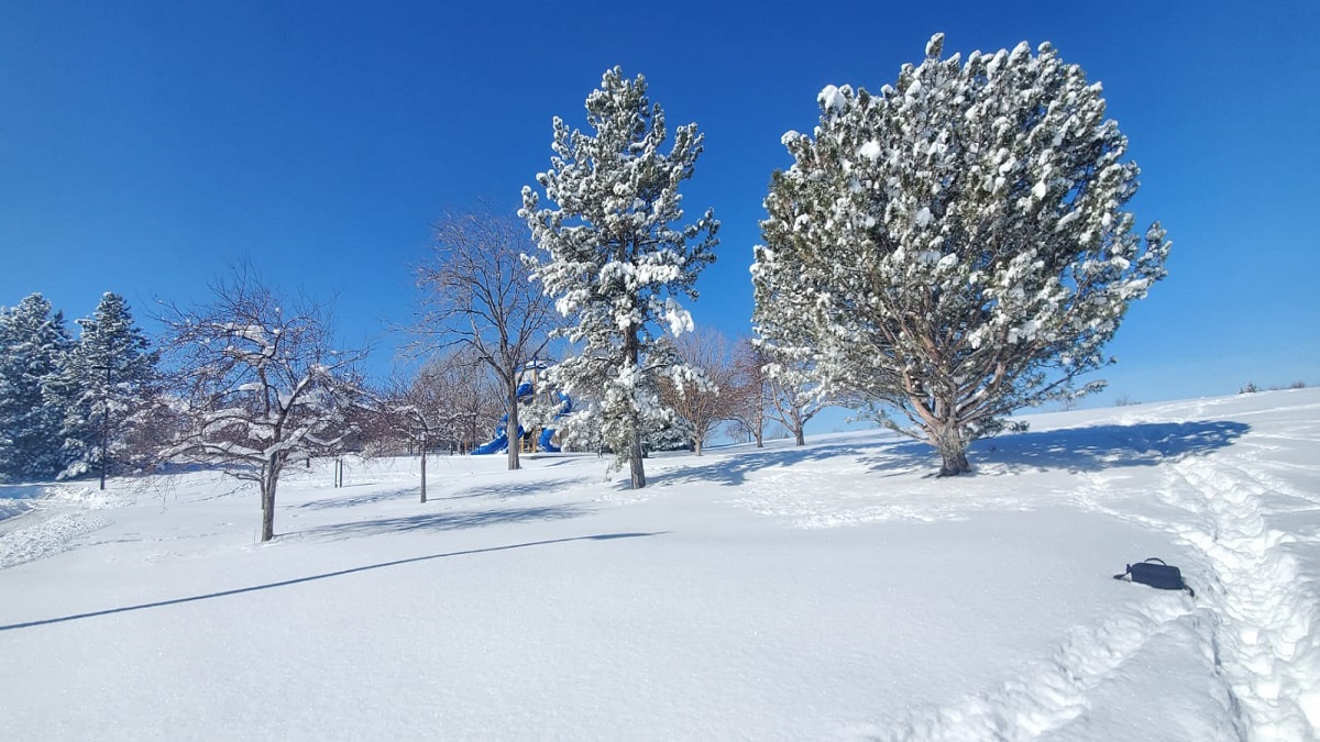 Más de 6 pulgadas: tormenta invernal en Colorado, la más grande en lo ...