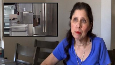 Telemundo Denver – Noticias, El Tiempo y Entretenimiento de Denver, Co ...