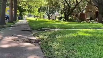 Telemundo Denver – Noticias, El Tiempo y Entretenimiento de Denver, Co ...