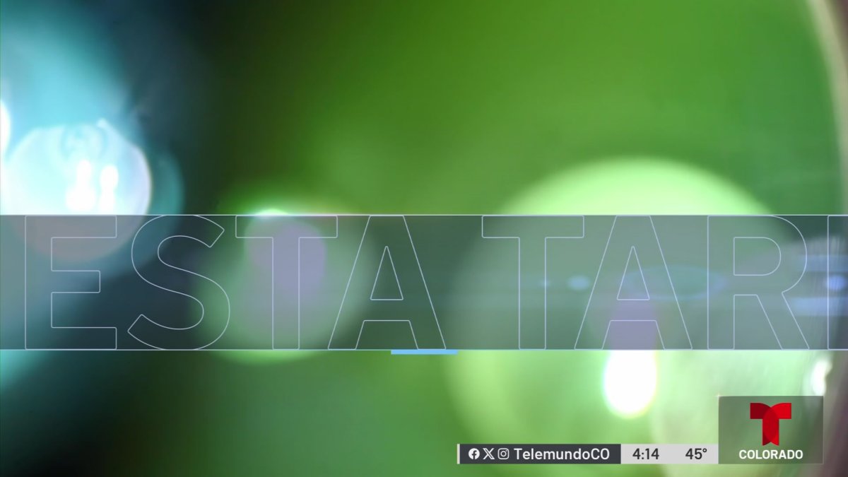 Oso sorprende a guardia de un hotel en Colorado y le da el susto de su ...