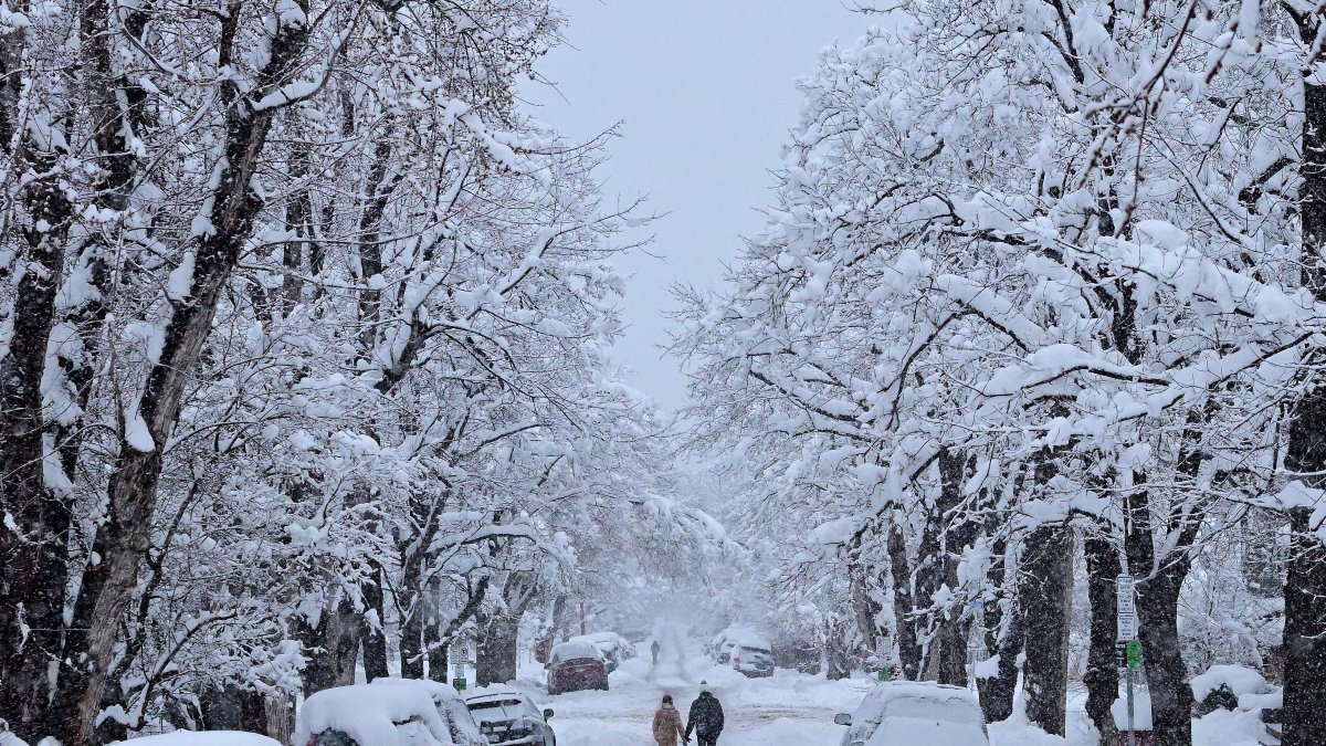 Los lugares de Colorado que más nieve recibieron – Telemundo Denver