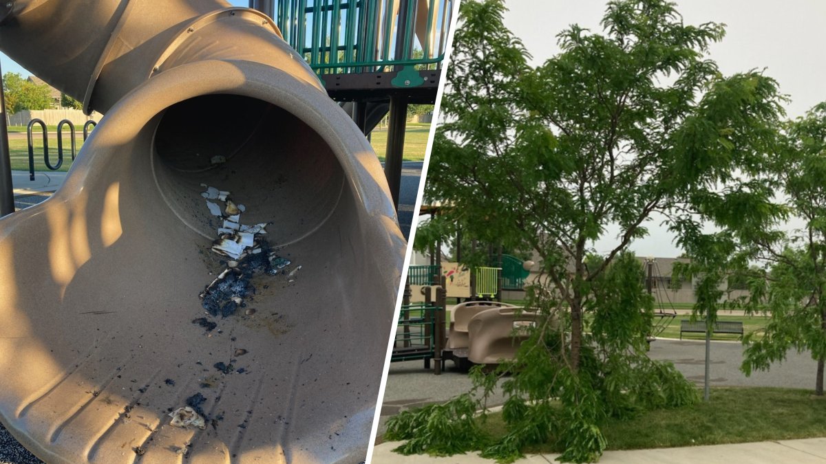 Vandalismo en parques de Wellington causa 30 mil dólares de daño ...