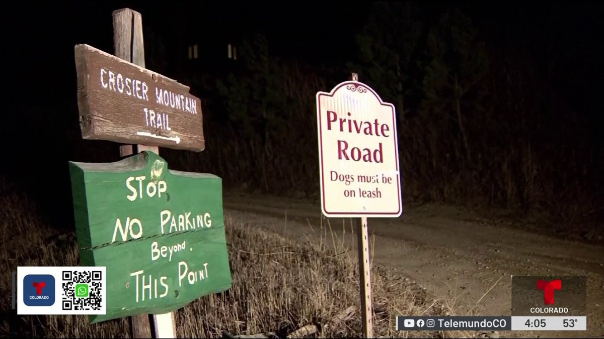 Mujer muere tras ser atacada por un león de montaña en sendero de ...