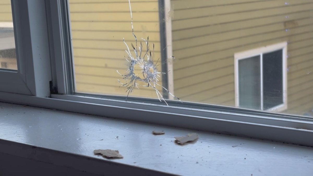 "Me duele mucho el corazón": Vecinos en Boulder hablan tras disparos a ...